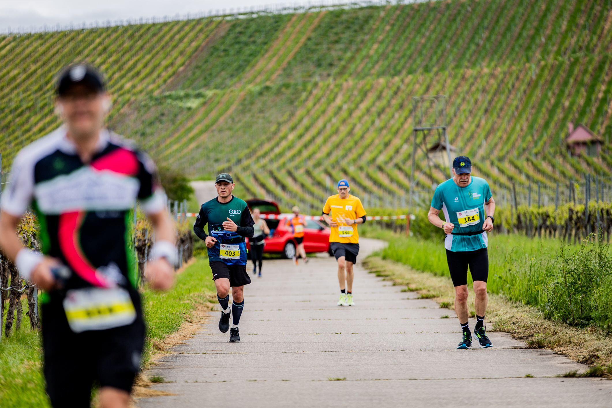 23. Trollinger-Marathon - Laufen.de
