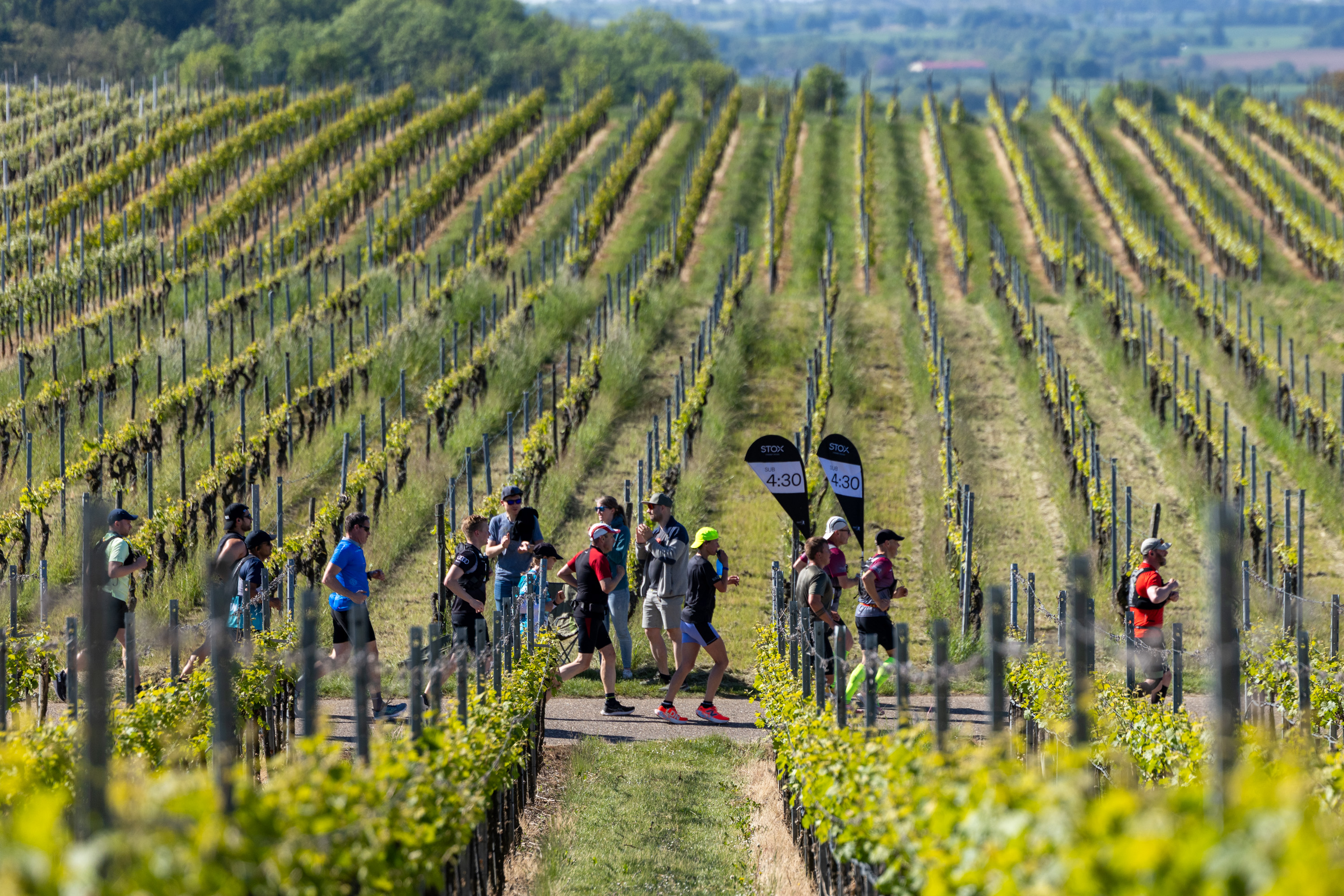 Bildergalerie: Über 250 Fotos vom Heilbronner Trollinger Marathon ...