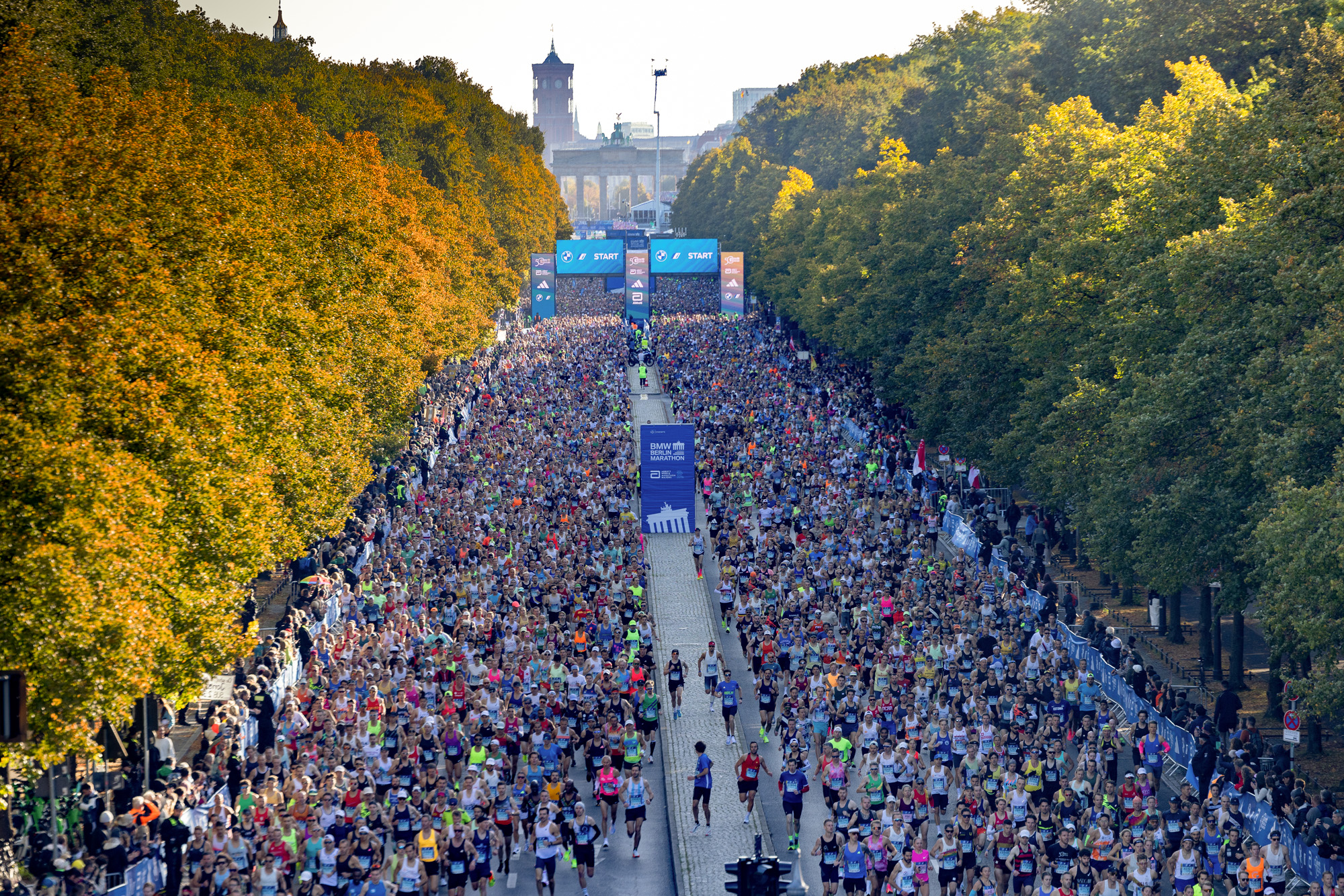 Bilder Berlin-Marathon 2024: Die fast 400 schönsten Fotos vom jetzt ...