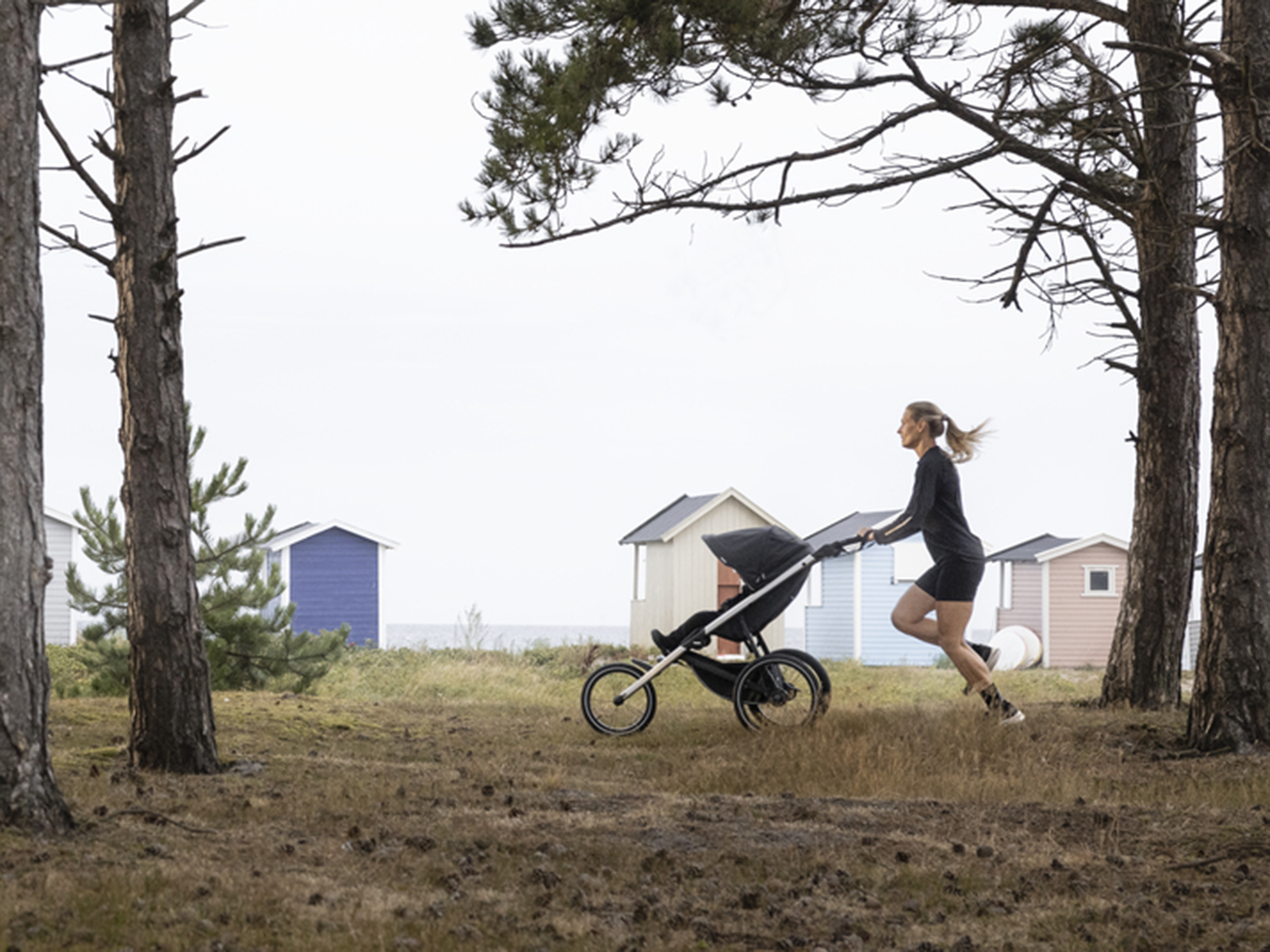 Thule Glide 3 im Test: In kleinen Schritten und auf großen Rädern zum ...