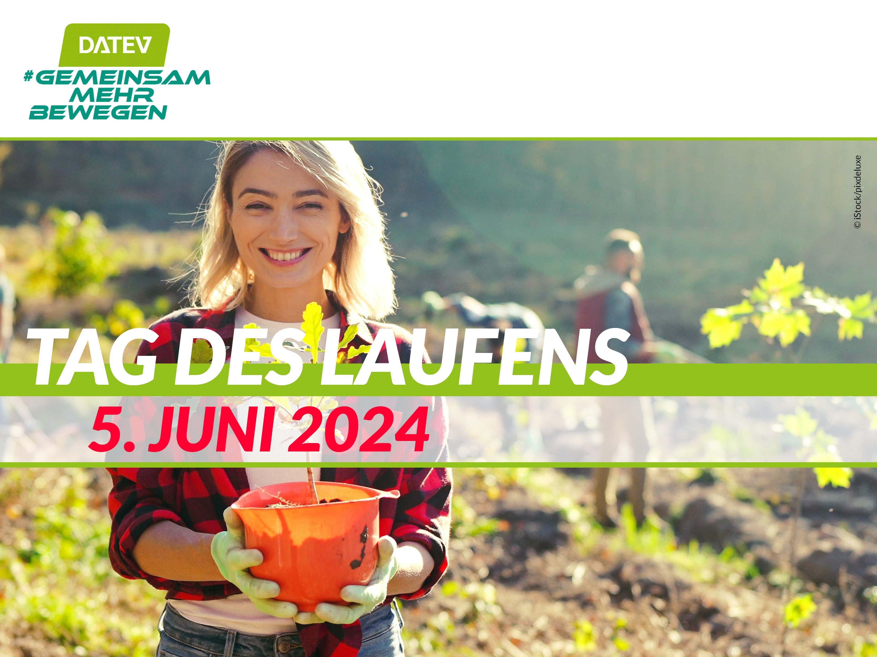 Run for the Trees: Mitmachen und für neuen Wald spenden - Laufen.de